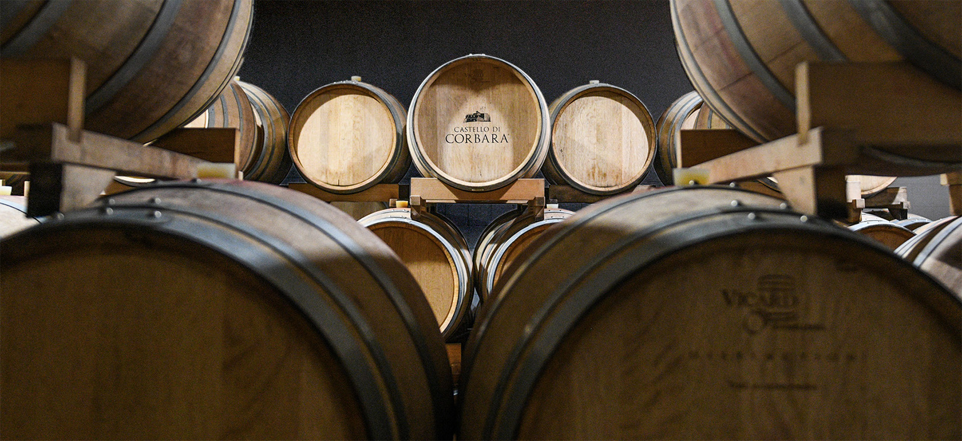 Wine cellar - Castello di Corbara